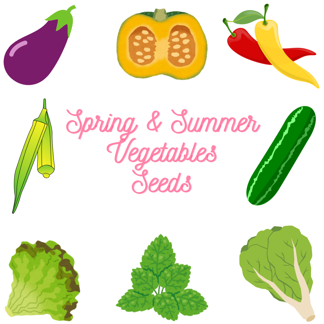 Spring & Summer Vegetable Seeds – Vitaro Genetics