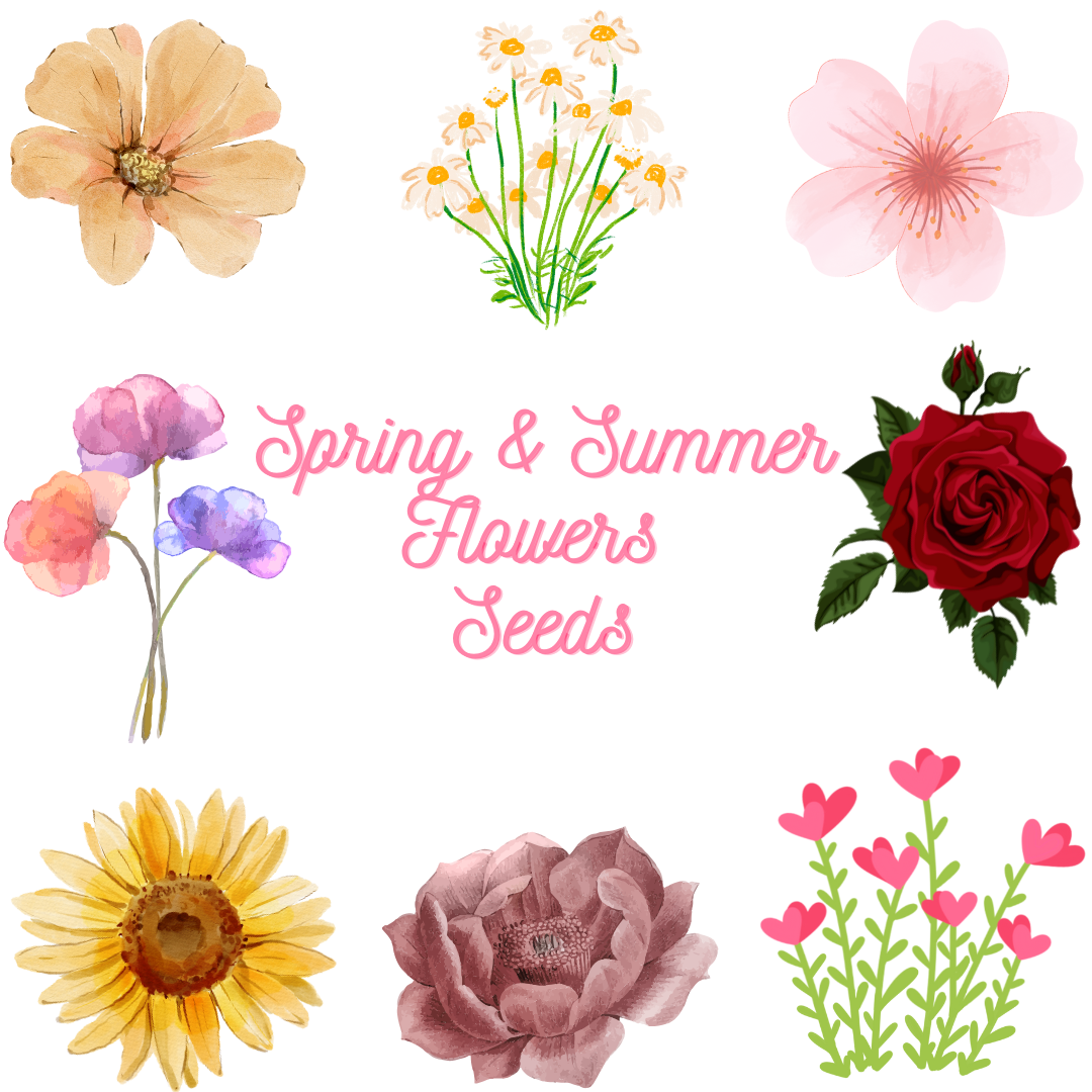 Spring & Summer Flower Seeds – Vitaro Genetics