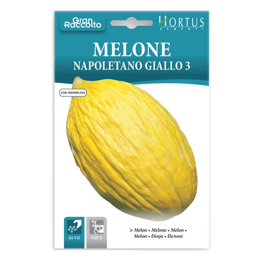 Hortus Oval Melon 250+ Seeds – Vitaro Genetics