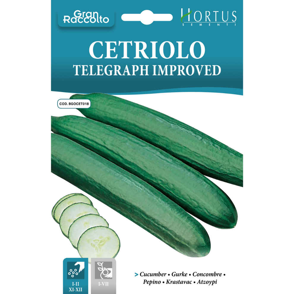 Hortus improved Cucumber 1.5gm Seeds – Vitaro Genetics