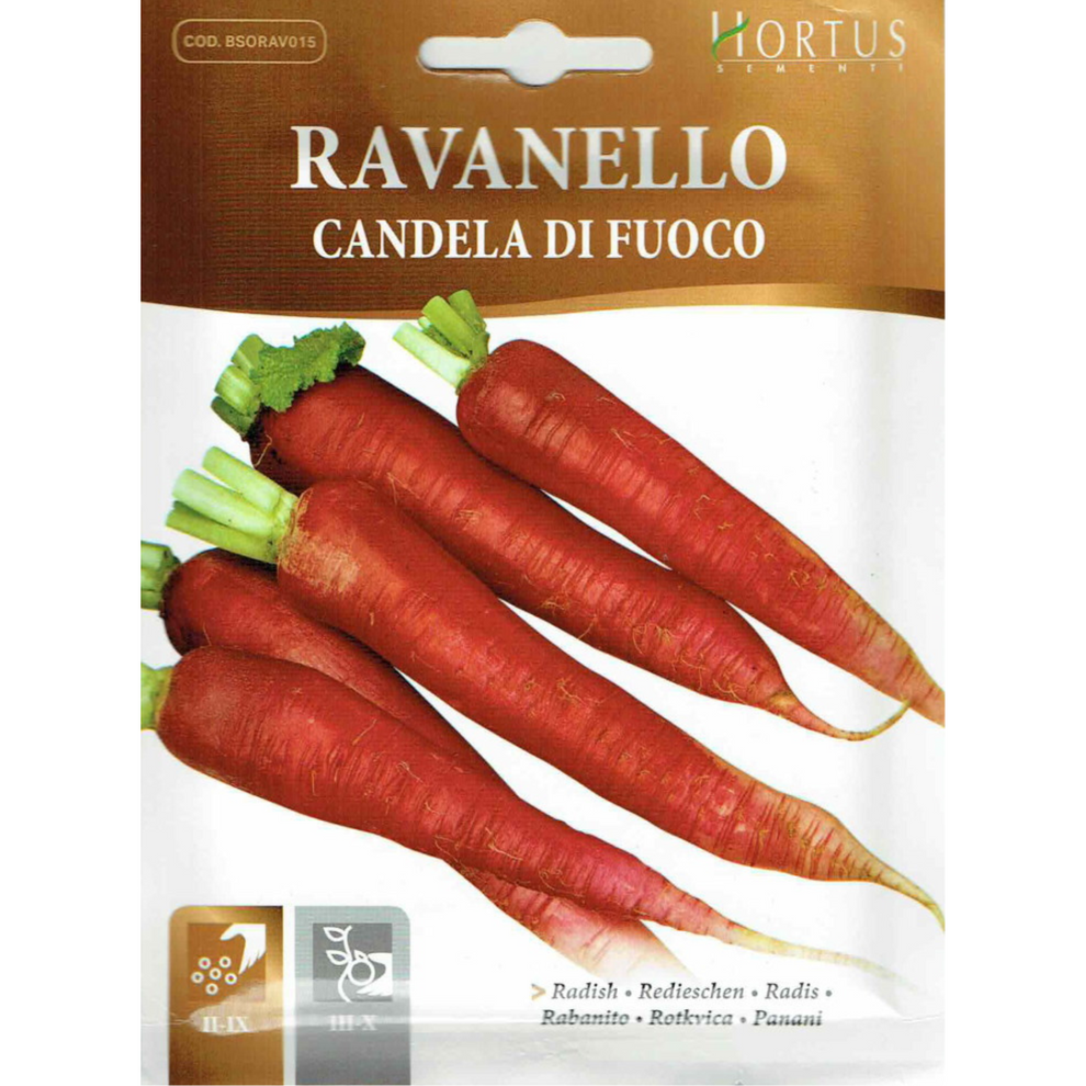 Hortus Red Radish (Ramolaccio Candela Di Fouoco) 10GM – Vitaro Genetics